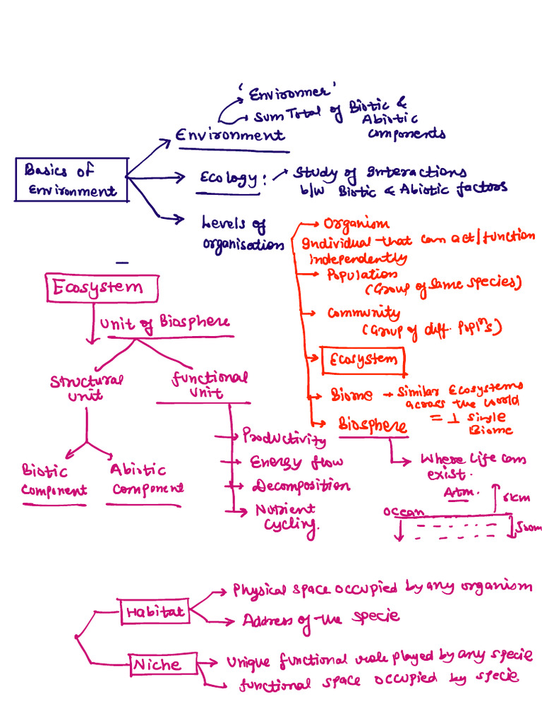 Ecosystem Merged | PDF