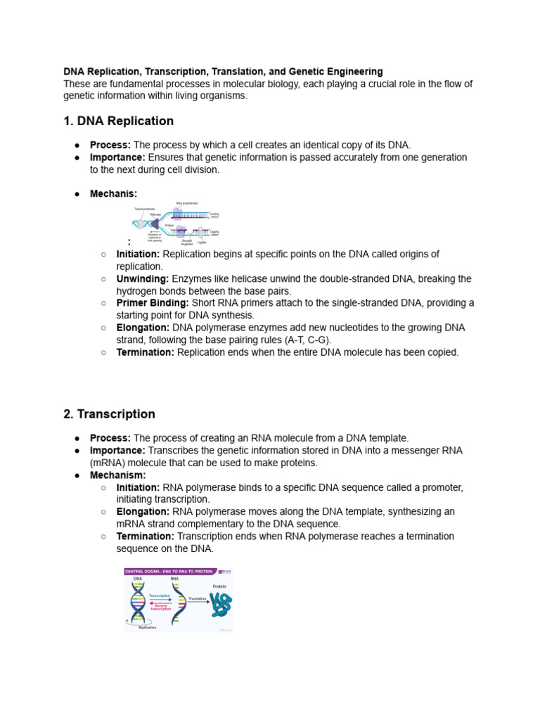 DNA Processes and Genetic Engineering Guide | PDF | Dna | Translation ...