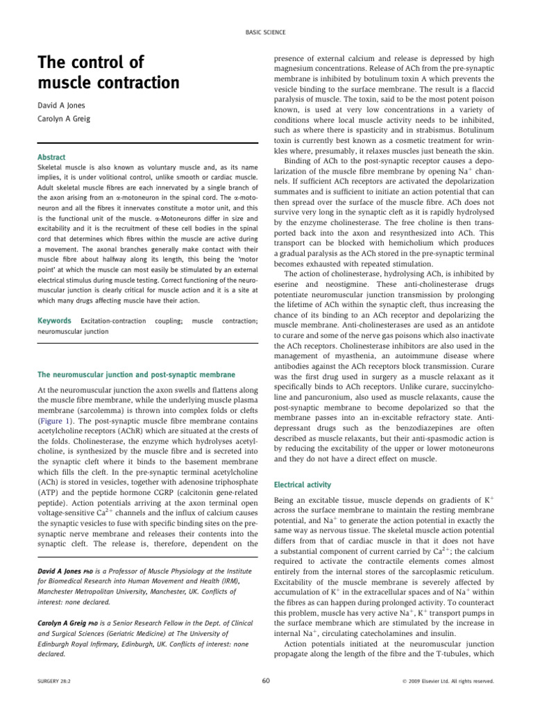 The Control of Muscle Contraction | PDF | Acetylcholine | Neuromuscular ...