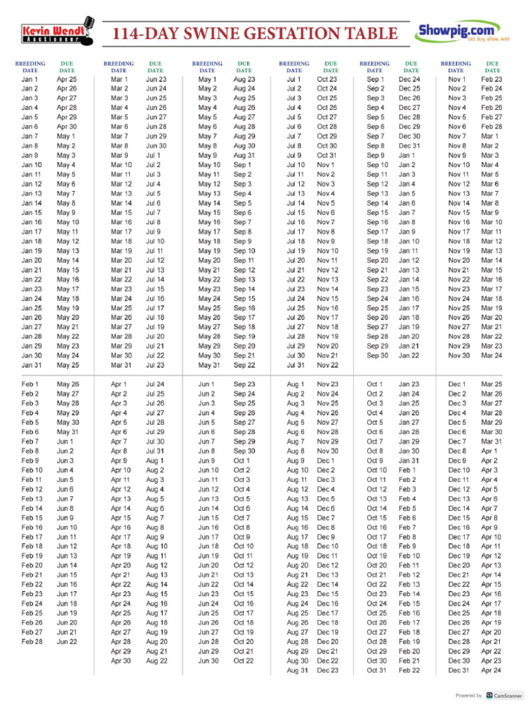 Gestation Chart | PDF