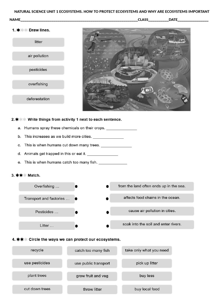 4º Natural Science Unit 1 Ecosystems Review 2 | PDF