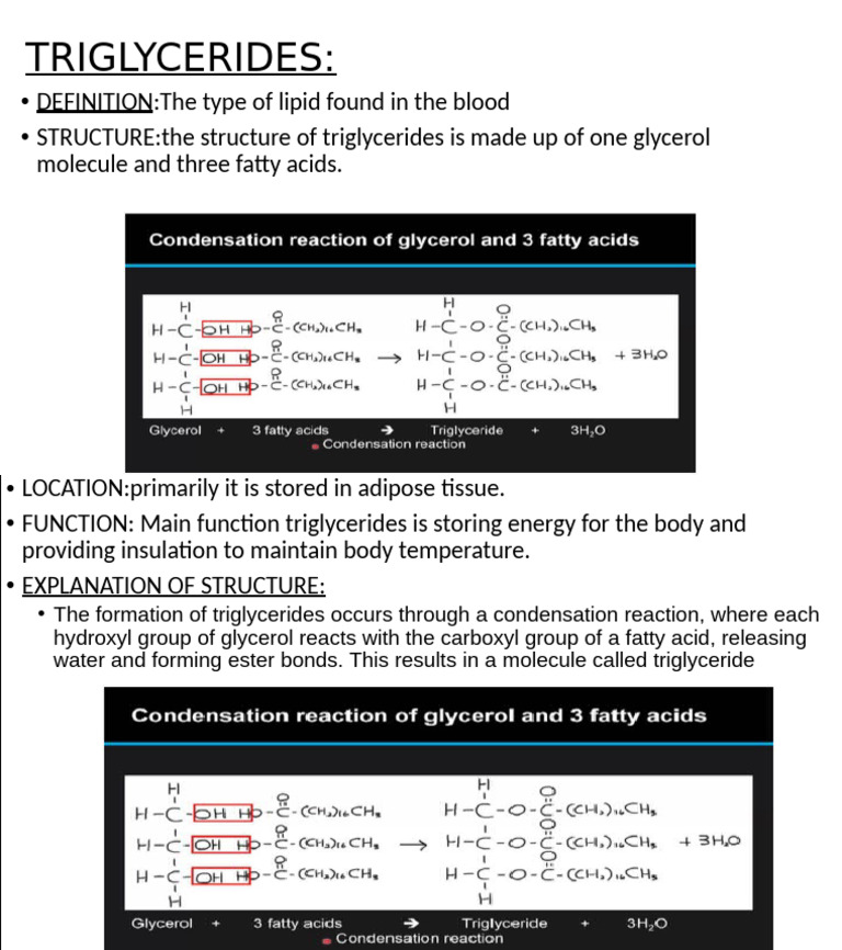 Triglycerides | PDF