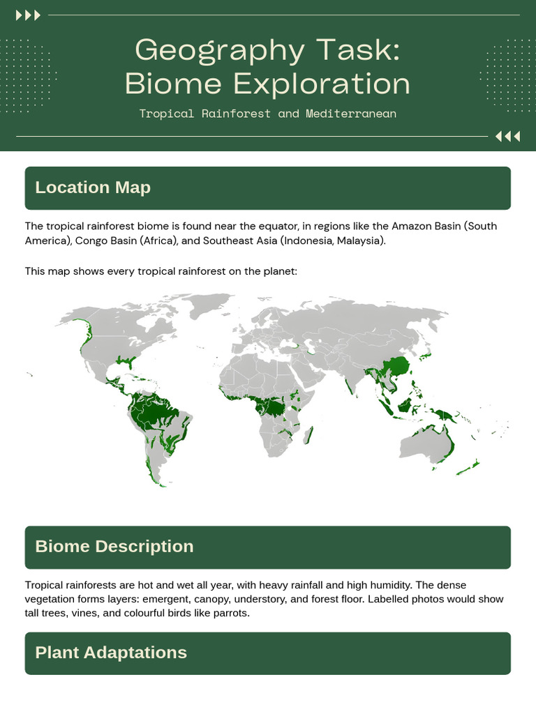 Tropical Rainforest Biome | PDF