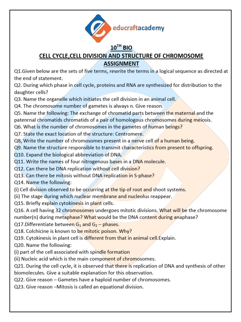 10th Bio Ch-2 Assignment | PDF | Mitosis | Meiosis