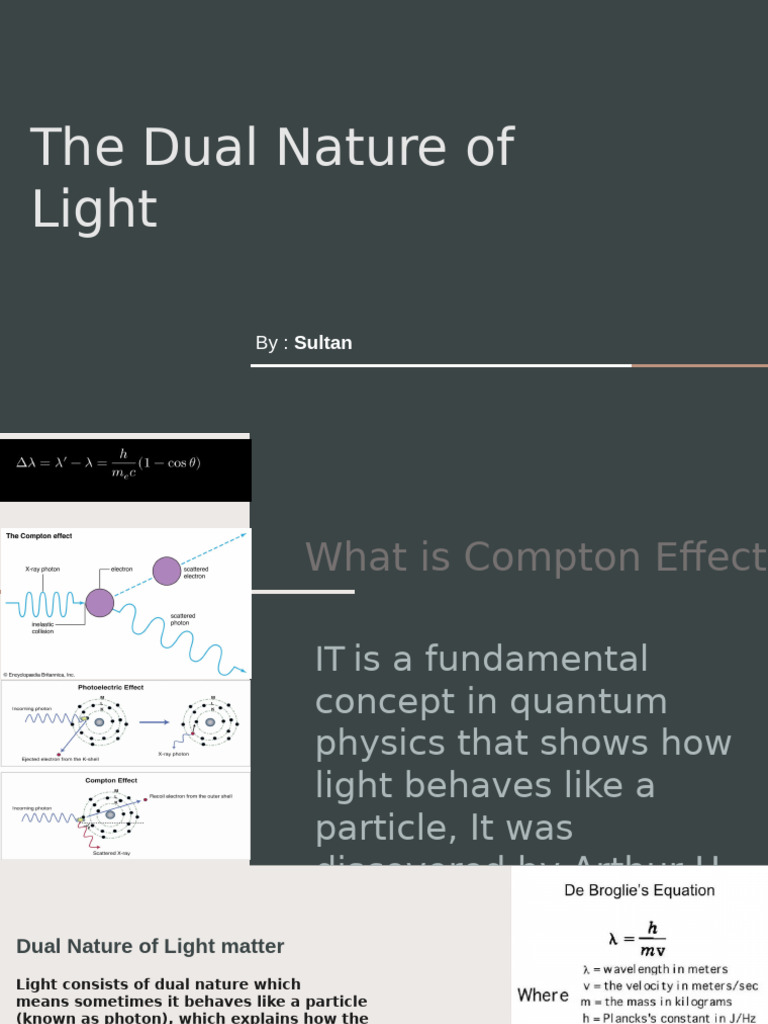 SA Presentation | PDF