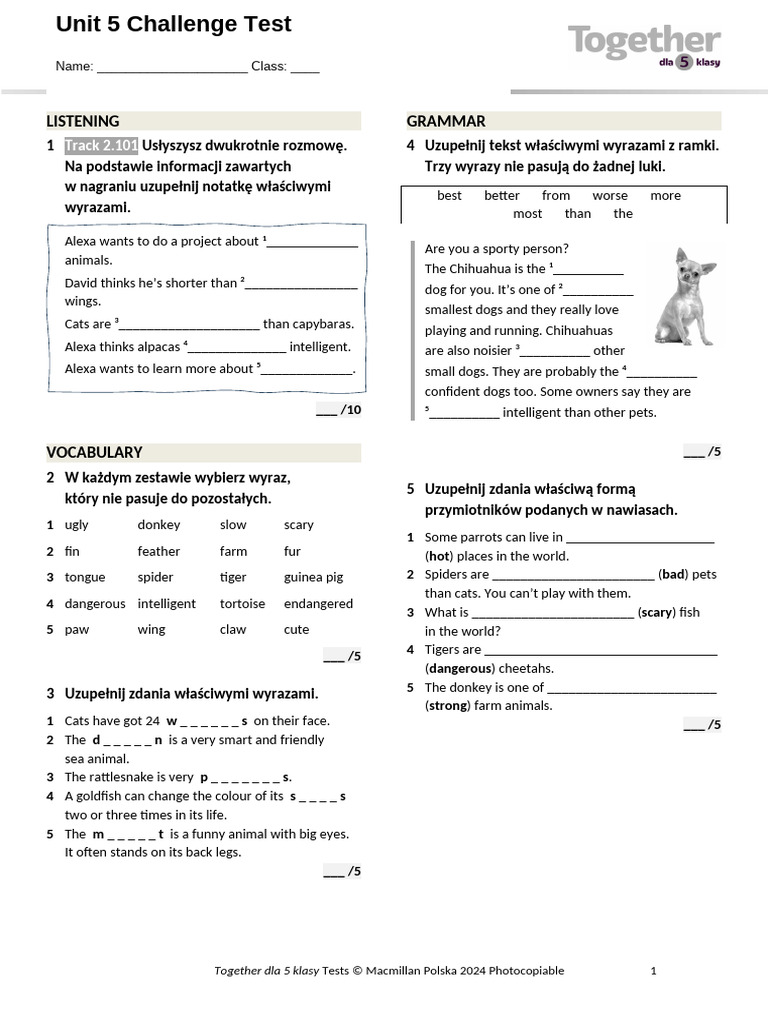 Animal Vocabulary and Grammar Test | PDF | Zoology | Animals And Humans