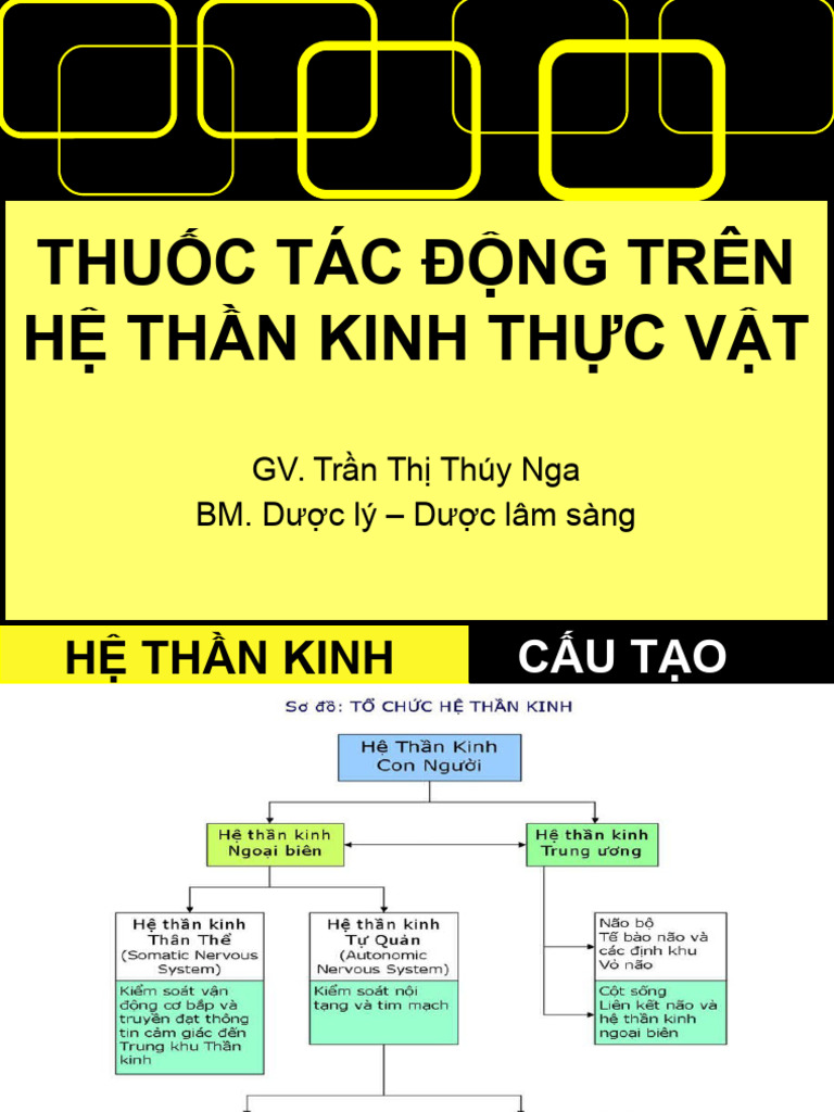 3.Thuốc Tđ Lên Hệ Thtv | PDF