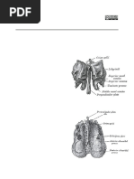 Ethmoid Bone - Location - Structure - Relationships - TeachMeAnatomy | PDF | Human Nose | Human ...