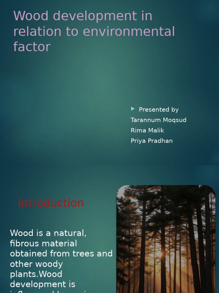 Wood Development Presentation | PDF | Wood | Soil