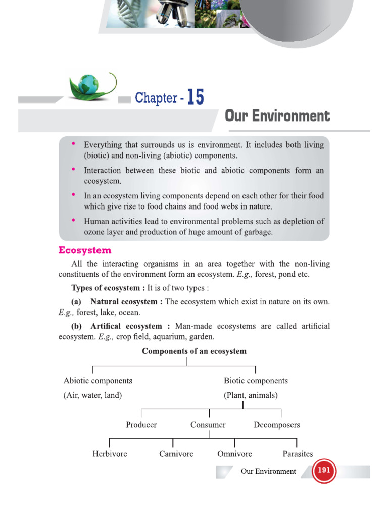 Chapter-15 Eng | PDF