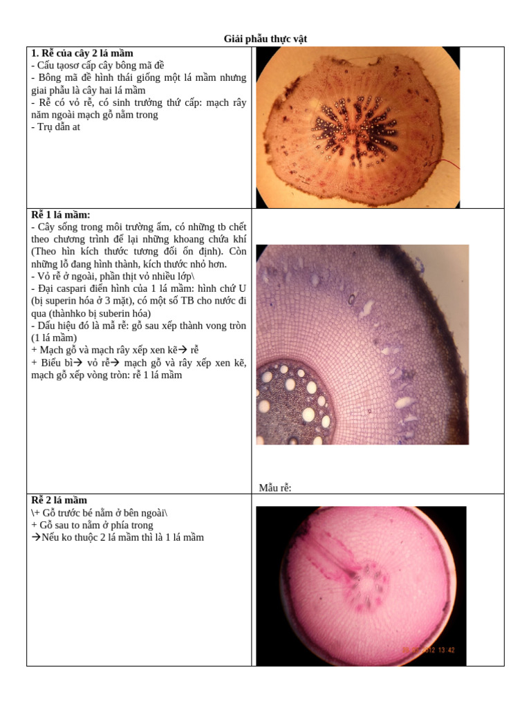 (123doc) - Thuc-Hanh | PDF