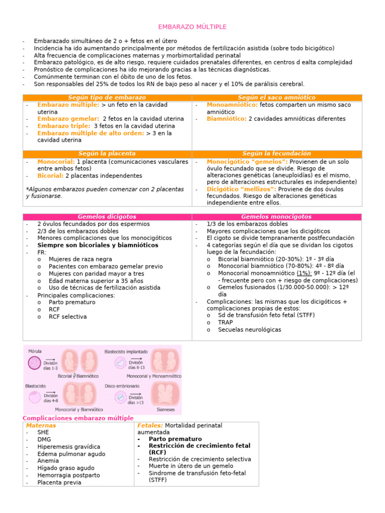 Embarazo Múltiple | PDF | Nacimientos Múltiples | El embarazo