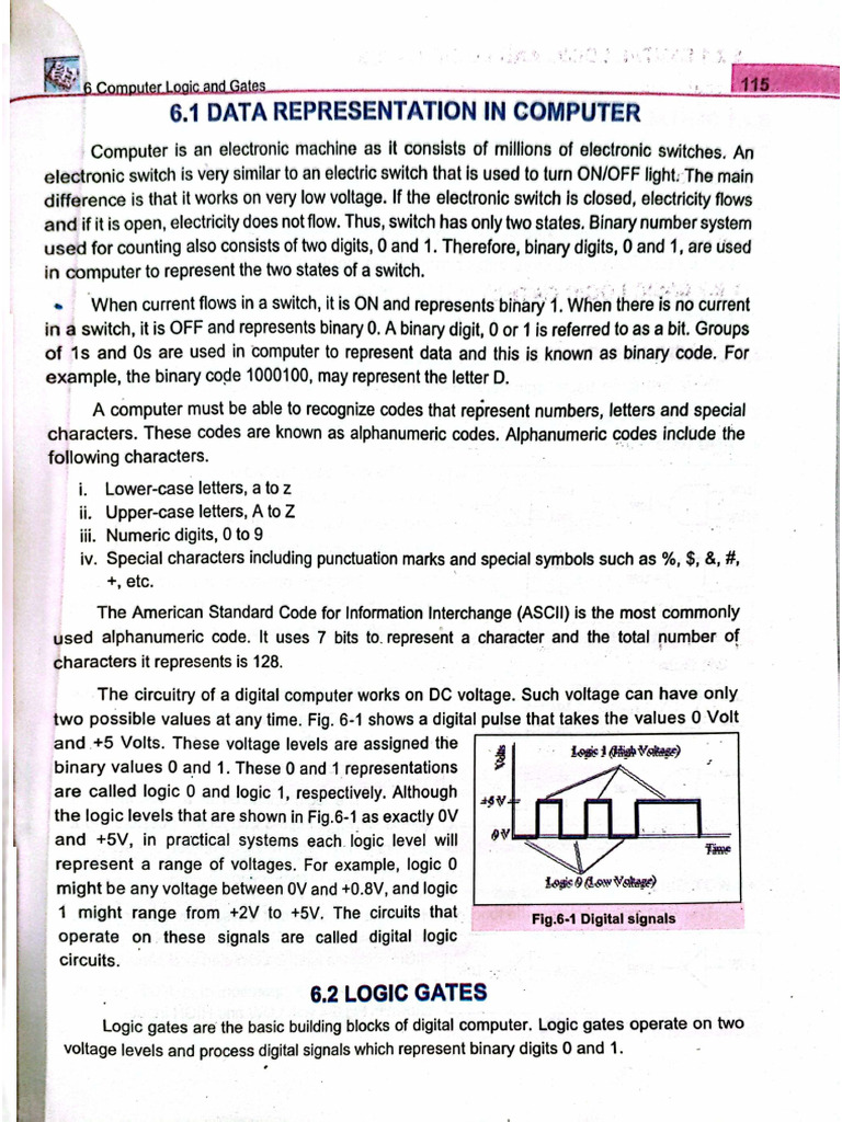 Computer Chapter 6 | PDF