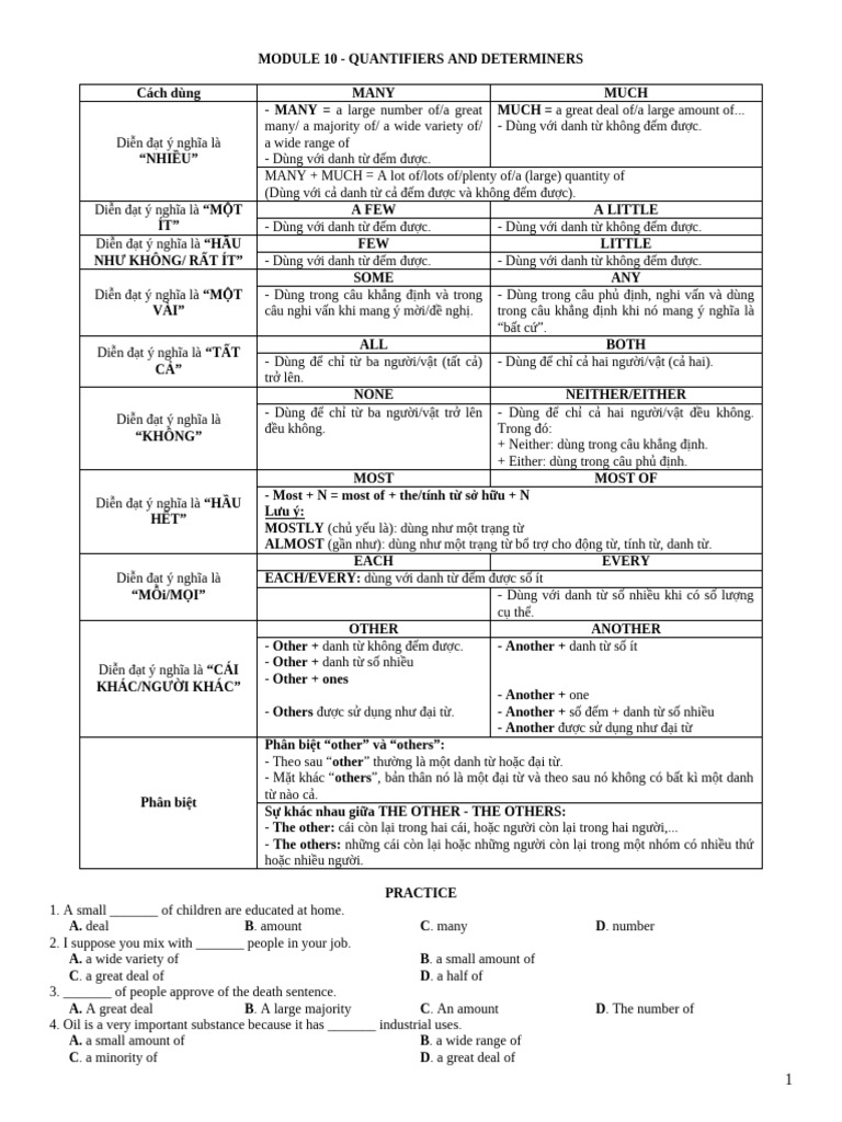 MODULE 10 - Quantifiers and Determiners | PDF