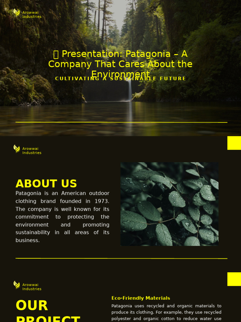 ? Presentation Patagonia | PDF