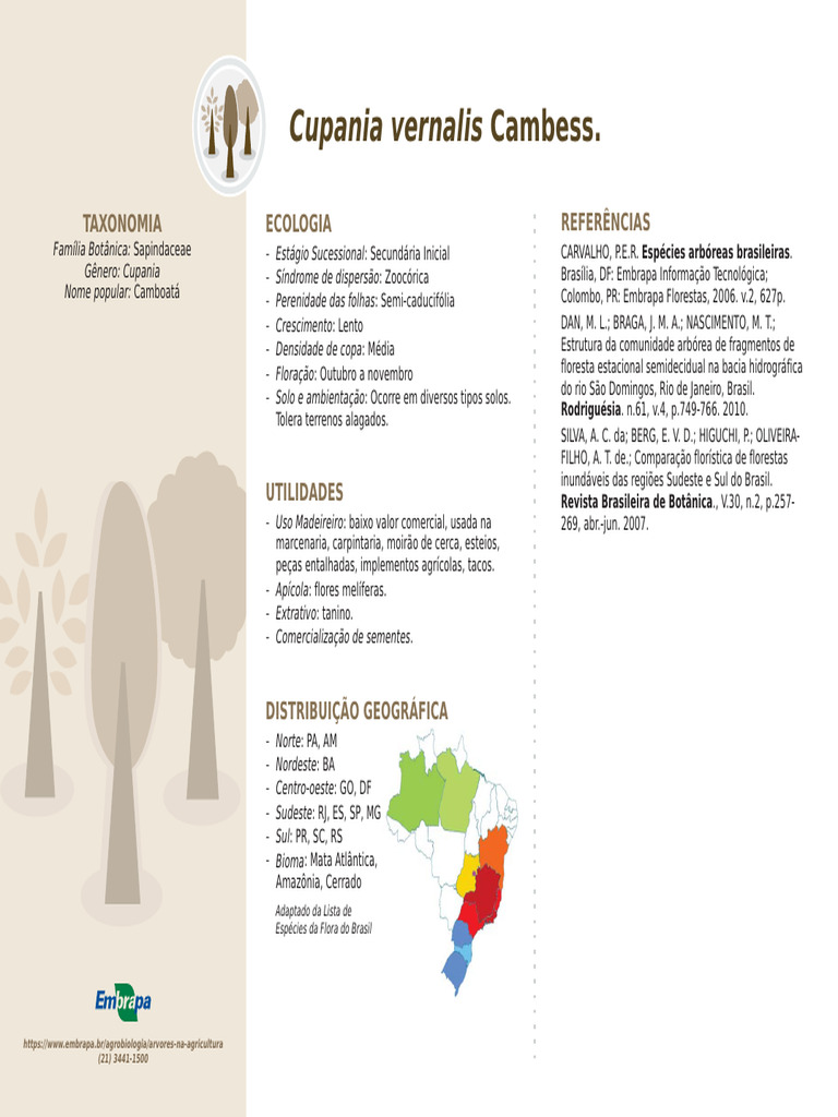 Cupania vernalis: Ecologia e Utilidades | PDF | Brasil