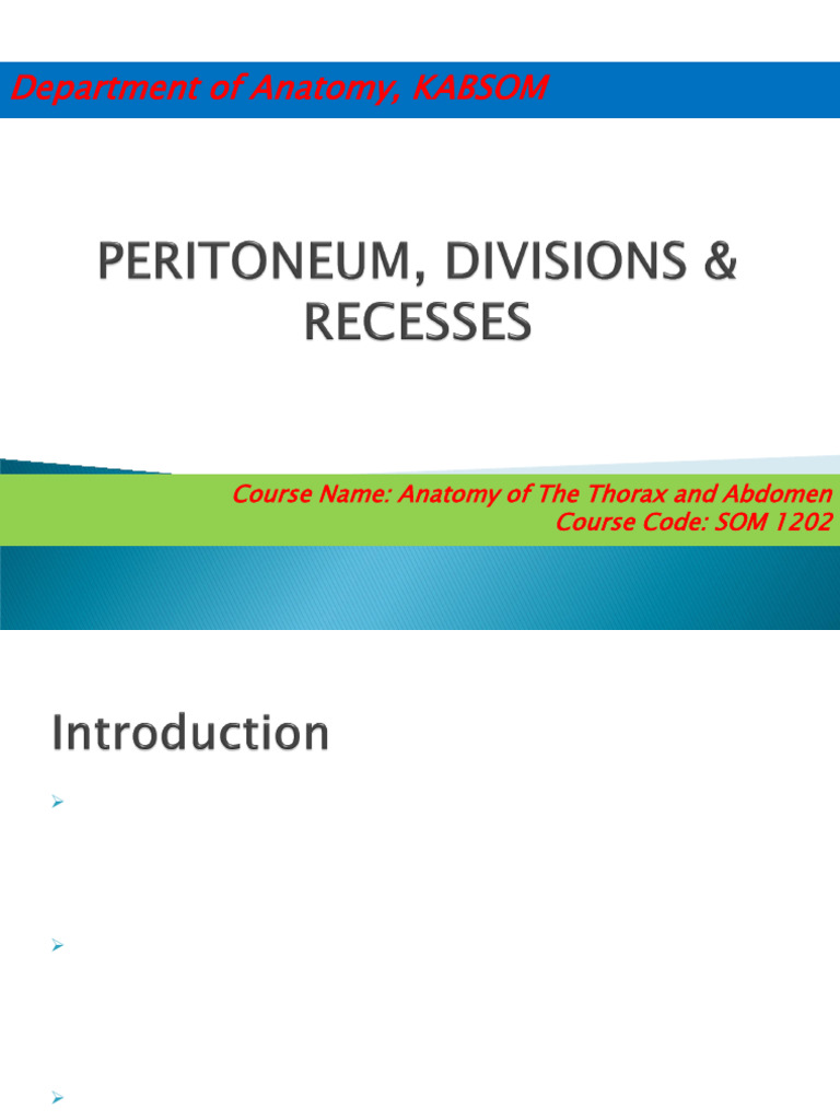 Peritoneum, Divisions & Recesses | PDF | Peritoneum | Abdomen