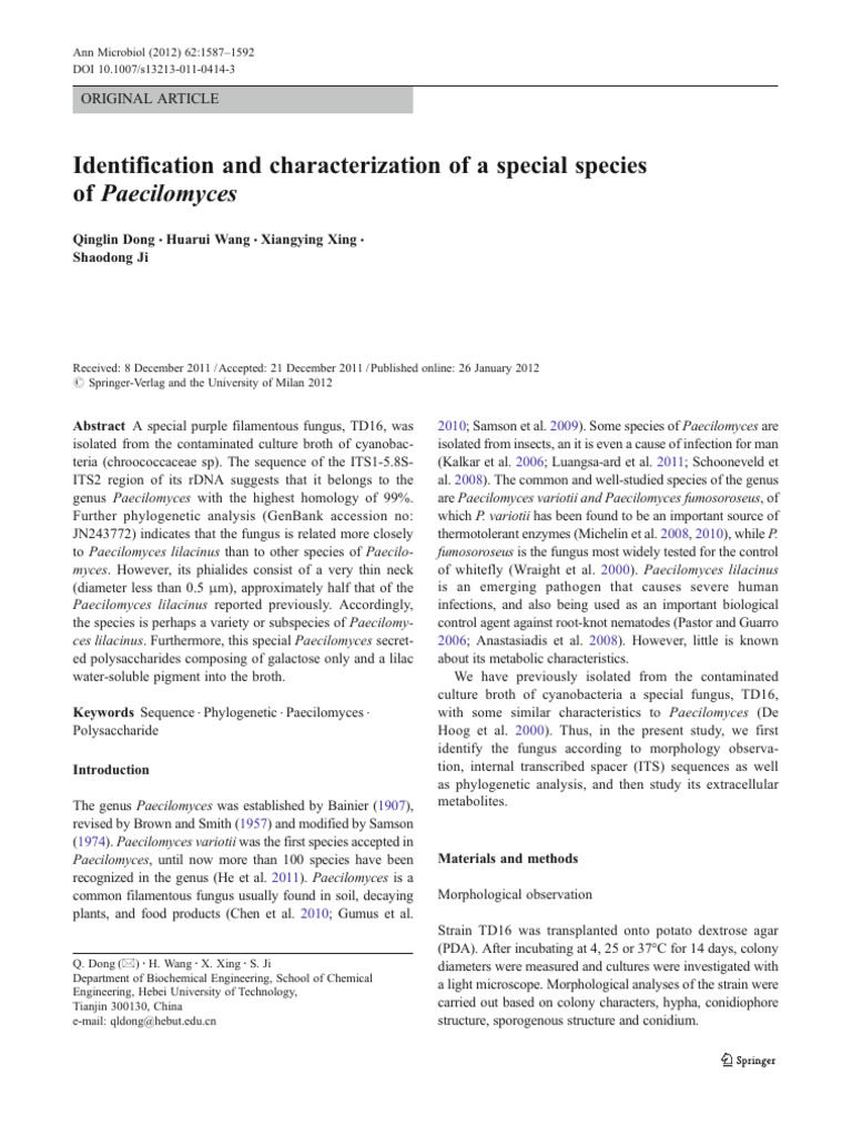 Paecilomyces Identification and Characterization of A Special Species | PDF
