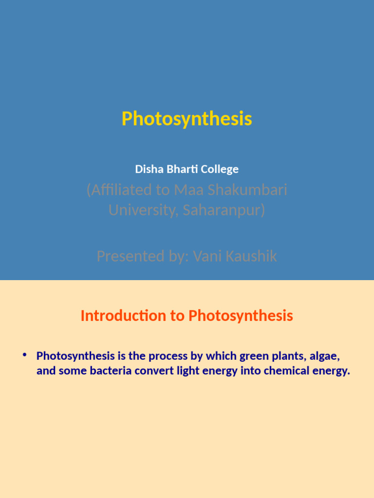 Photosynthesis Presentation Updated | PDF