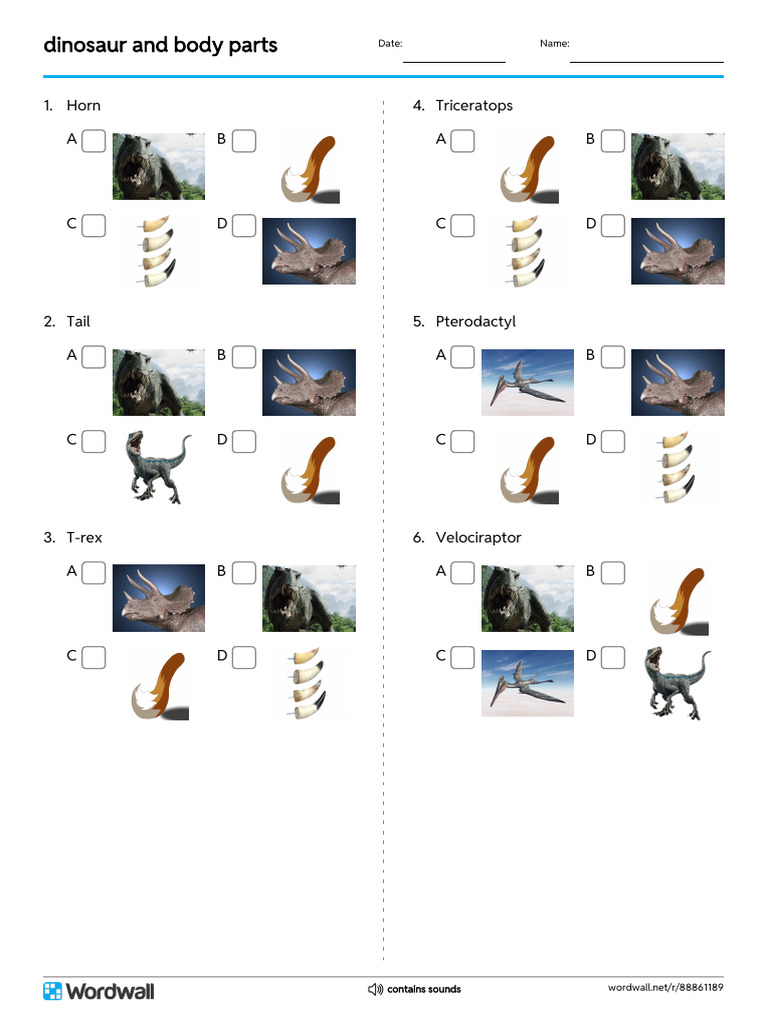 Dinosaur and Body Parts Quiz | PDF