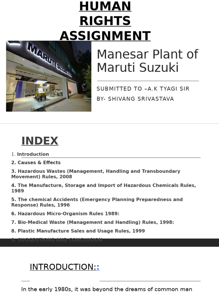 Human Rights Assignment Viith B by Shivang | PDF | Strike Action | Waste