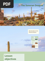Sonoran Desert Ecosystem Guide | PDF | Food Web | Ecosystem