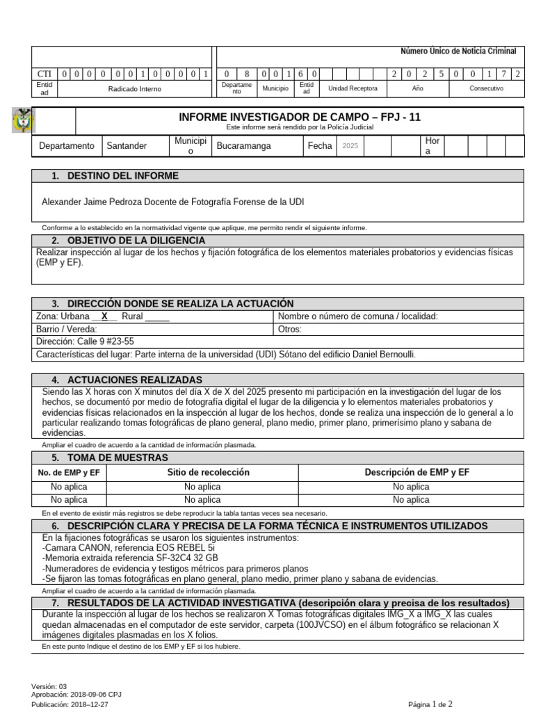 FPJ 11 Informe Investigador de Campo V 000 (Num.00) | PDF