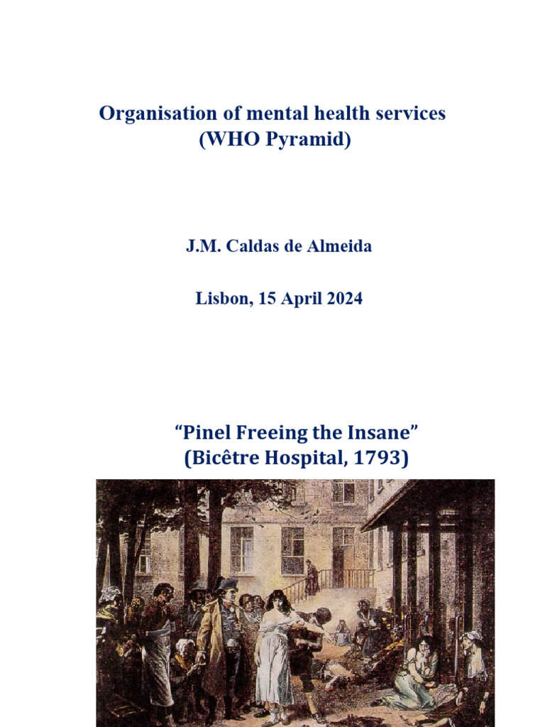 Organization of Services WHO Pyramid 2024 | PDF | Mental Health ...