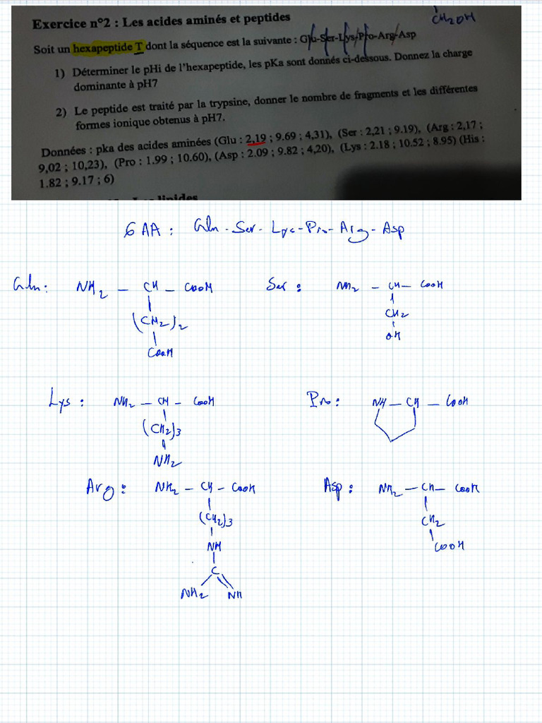 Acides Aminés 2022, 2018 SN | PDF