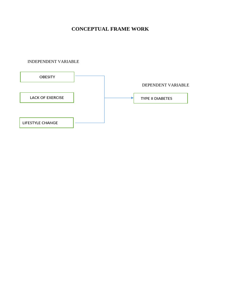Conceptual Frame Work | PDF