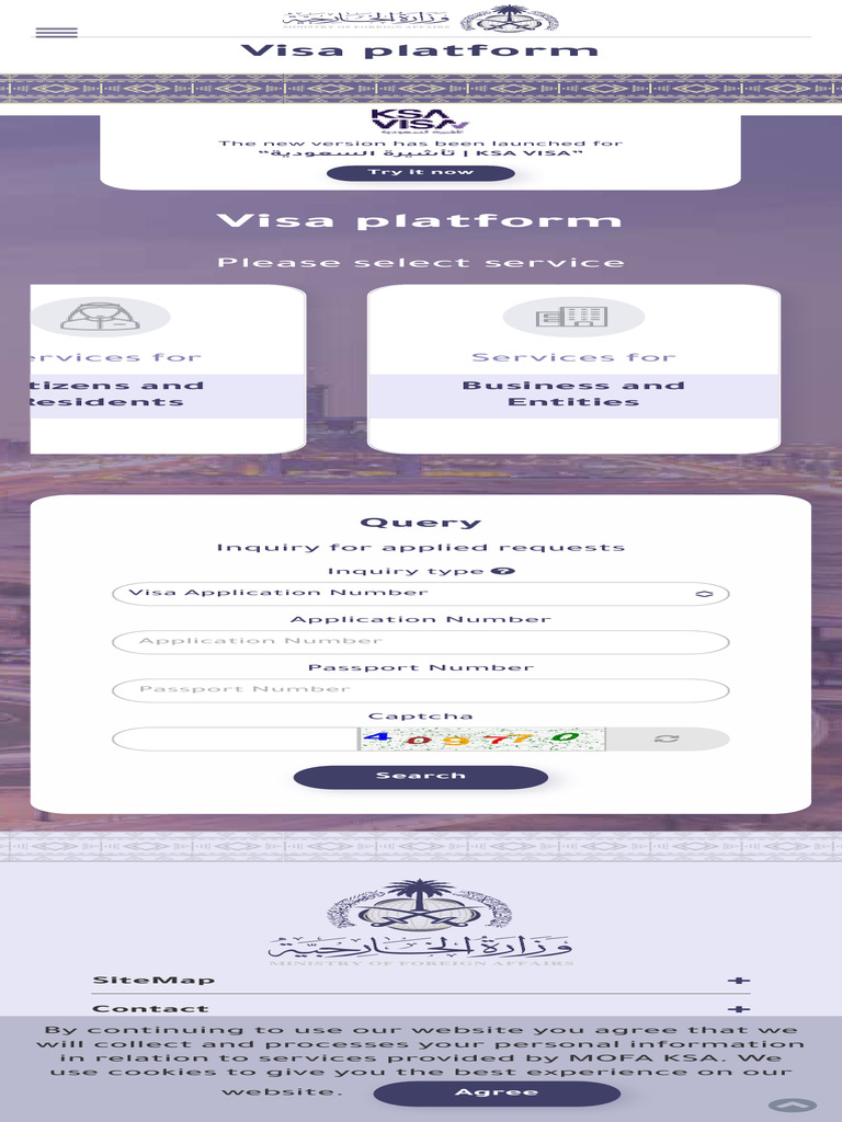 Visa Platform | PDF