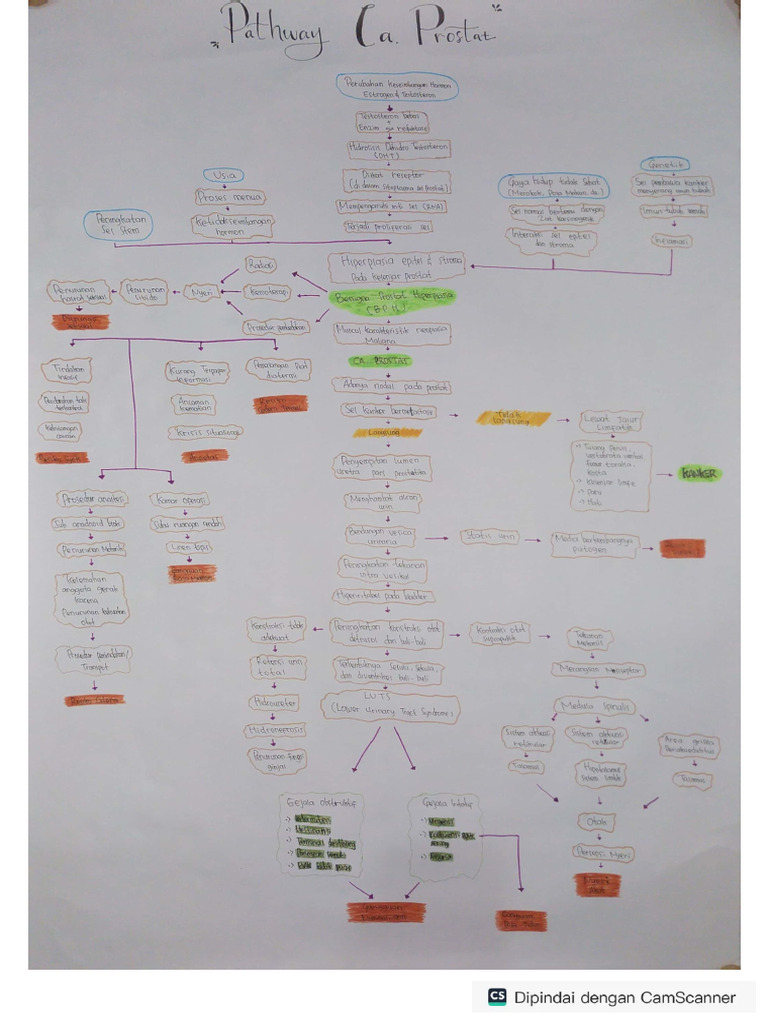 MindMap Maternity Nursing - 462020038 | PDF