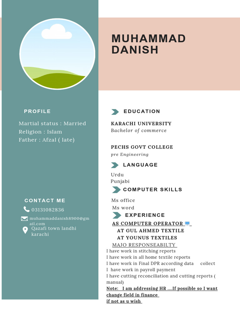 Muhammad Danish Cv..... | PDF