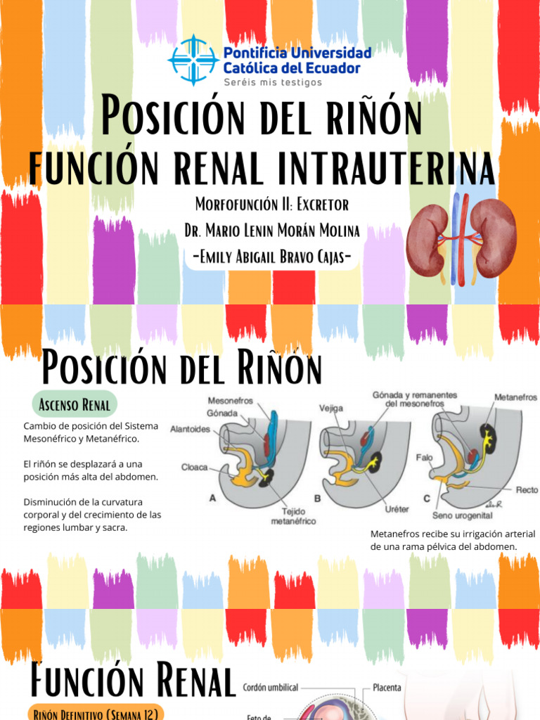 EXCRETOR - Bravo A. - 20250404 - 131247 - 0000 | PDF