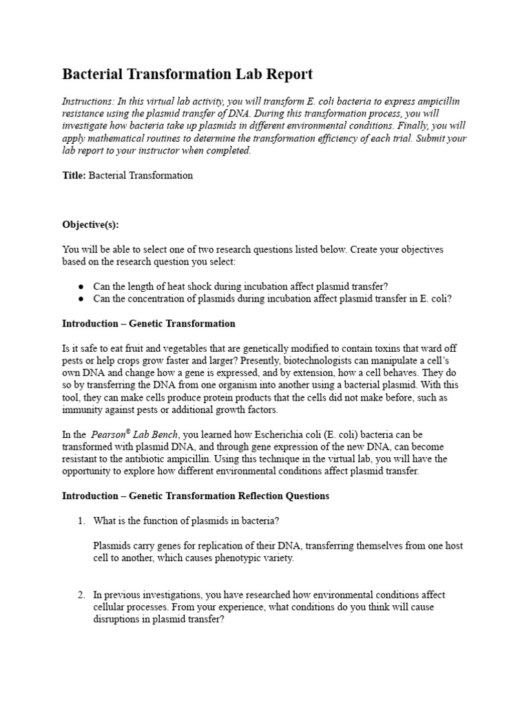 E. coli Plasmid Transformation Lab Report | PDF | Plasmid | Bacteria