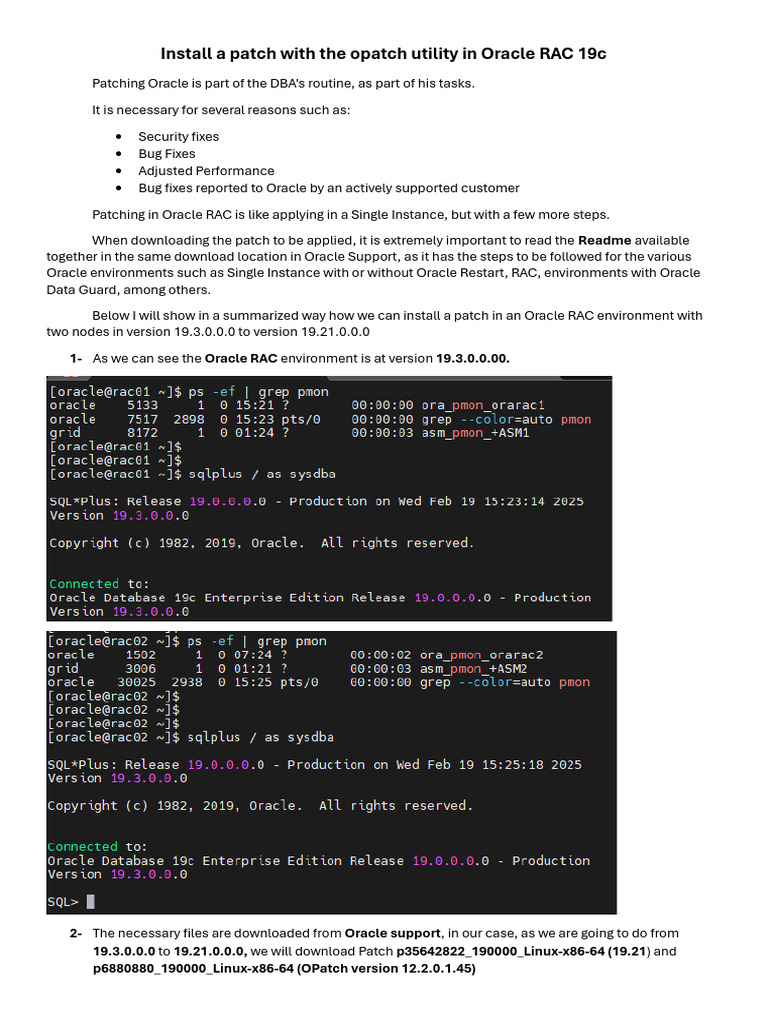 Install A Patch With The Opatch Utility in Oracle RAC 19c | PDF ...