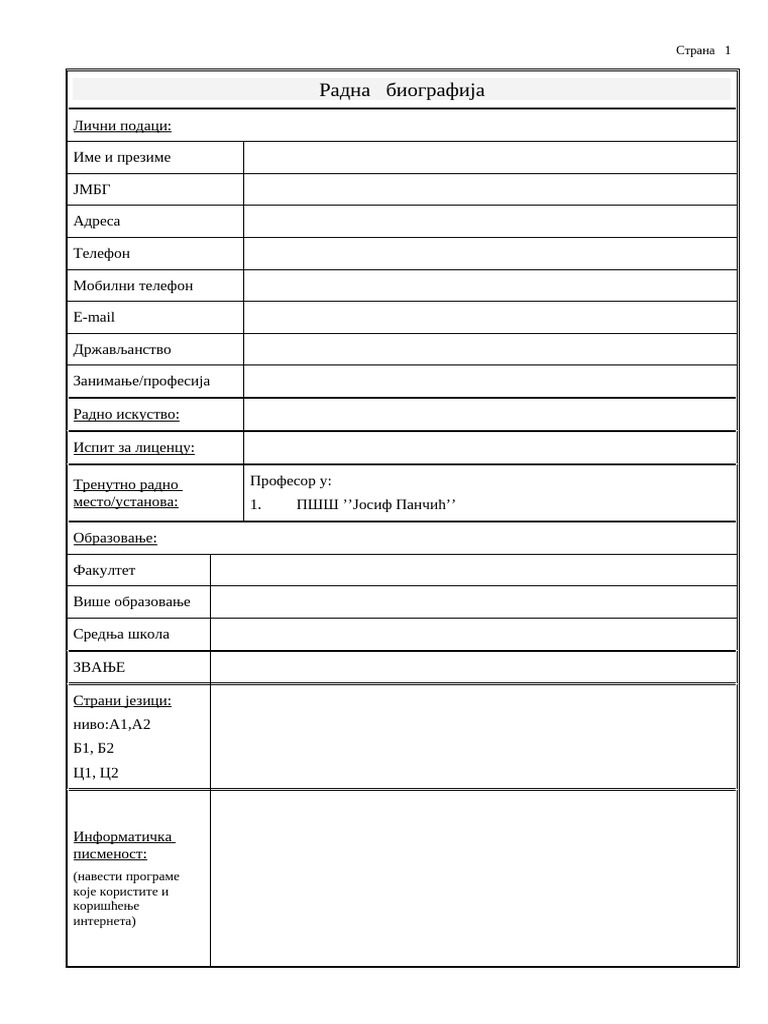 CV Blanko | PDF