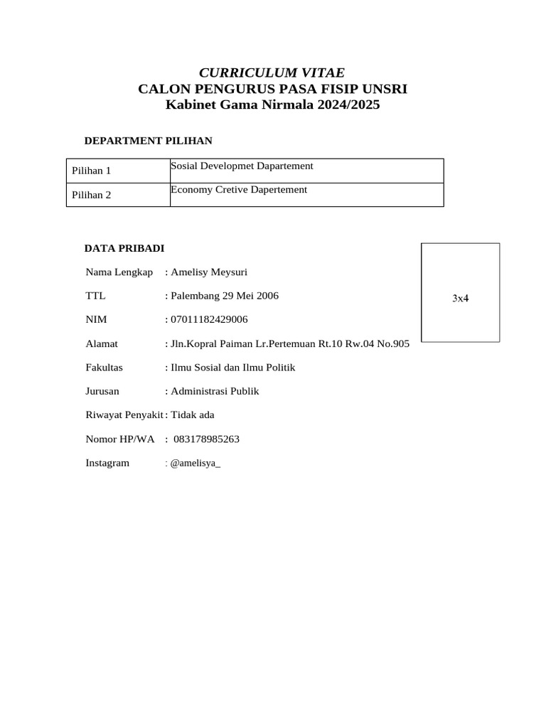 CURRICULUM VITAE - Amel - PASA FISIP UNSRI 2024 | PDF