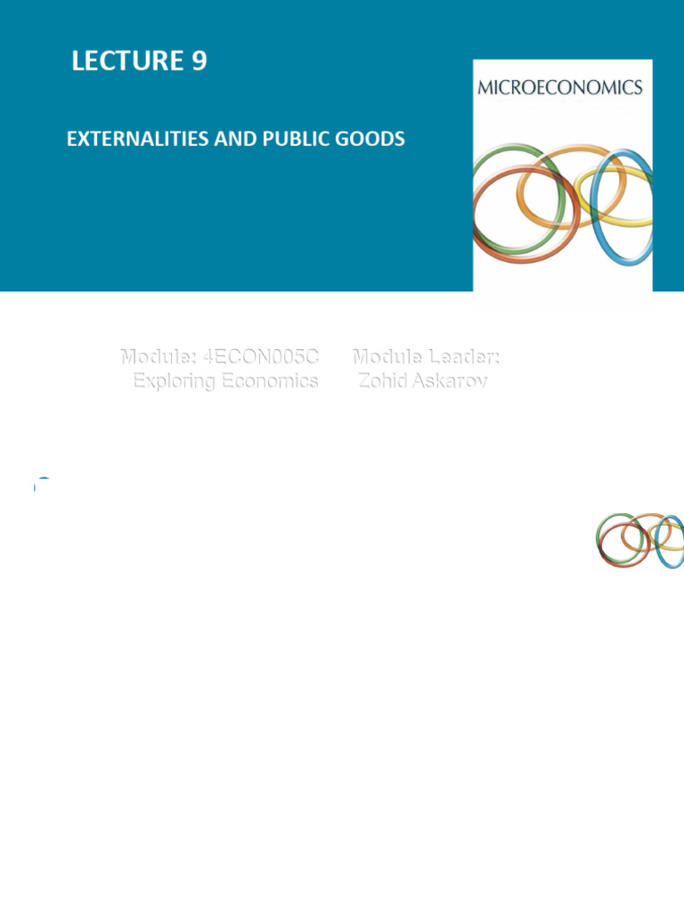 Understanding Externalities and Public Goods | PDF | Externality ...