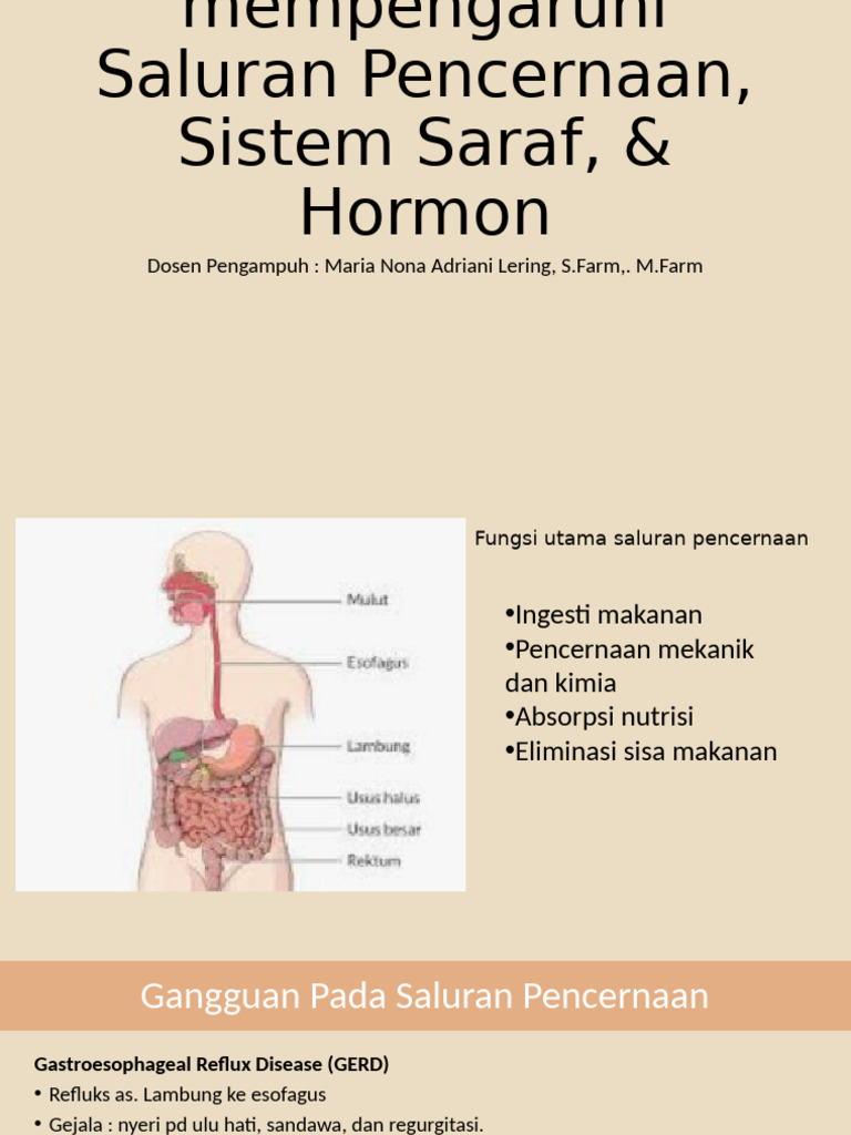 Saluran Pencernaan, Sistem Saraf & Hormon-1 | PDF