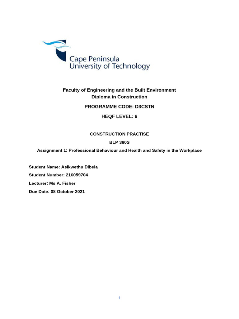 Construction Safety and Ethics Assignment | PDF | Disinfectant