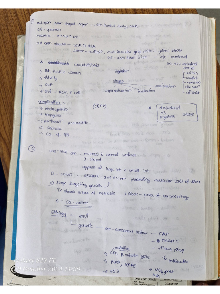 Patho Specimen Details | PDF