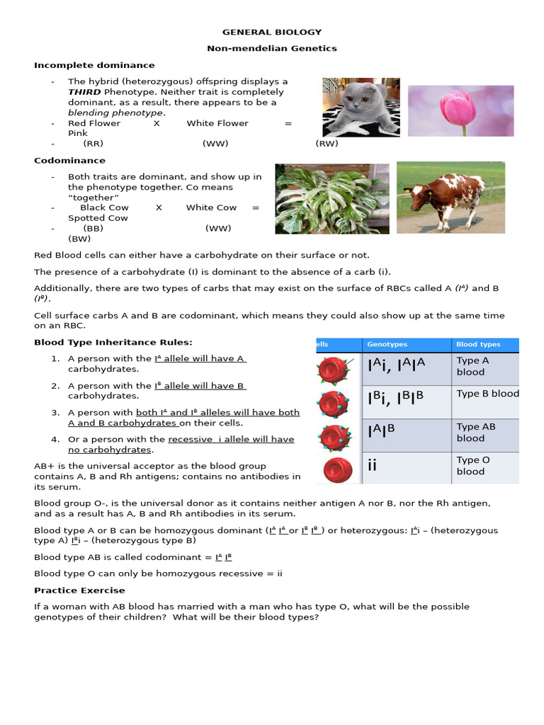 Non Mendelian Genetics Reviewer | PDF | Dominance (Genetics) | Genotype