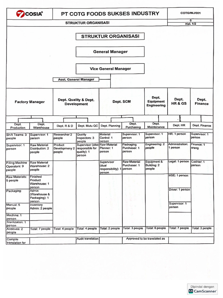 Organization Chart CFSI | PDF