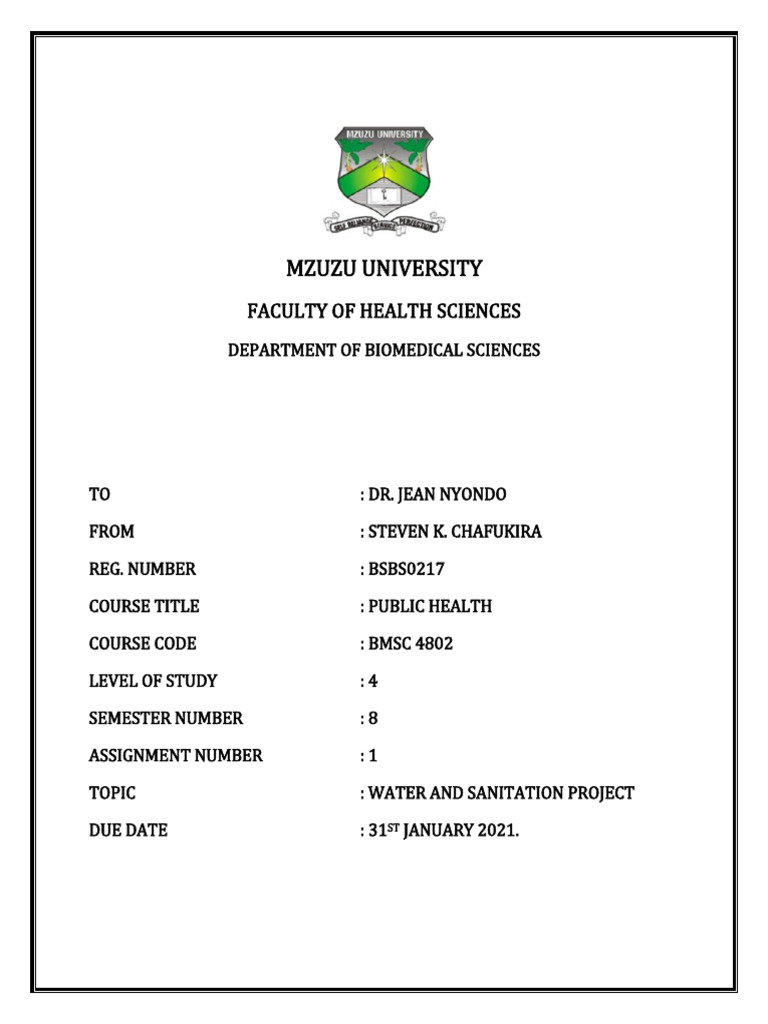Water and Sanitation Challenges in Malawi | PDF | Sanitation | Wash