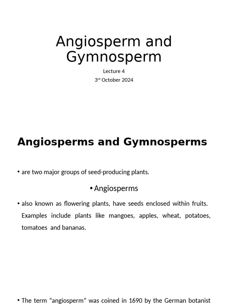 Angiosperms vs. Gymnosperms Explained | PDF | Fertilisation | Seed