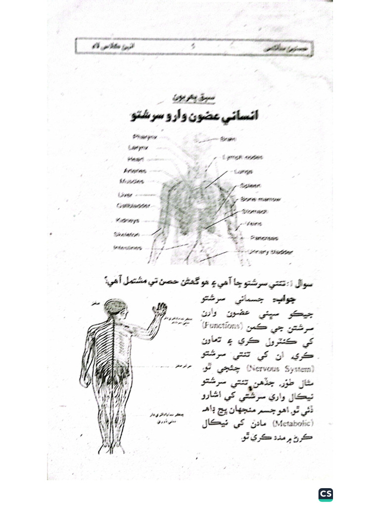Science VIII CHAPTER 1 in Sindhi | PDF