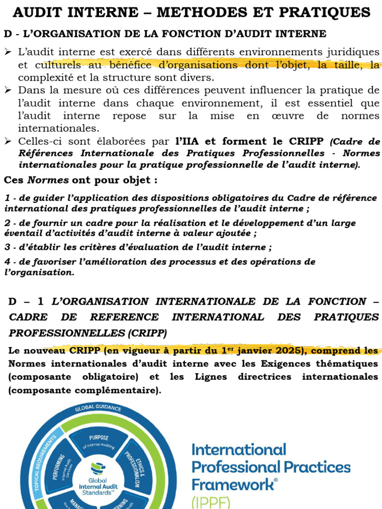 Normes CRIPP pour l'Audit Interne | PDF | Audit | Contrôle interne