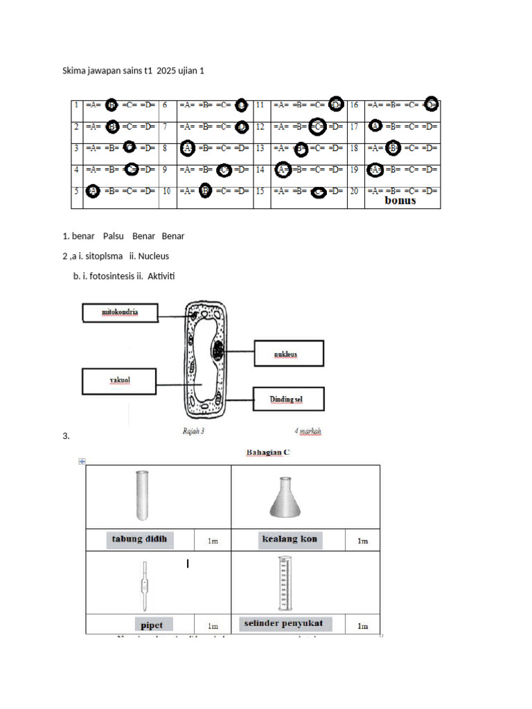 Skima Jawapan Sains t1 2025 Ujian 1 | PDF