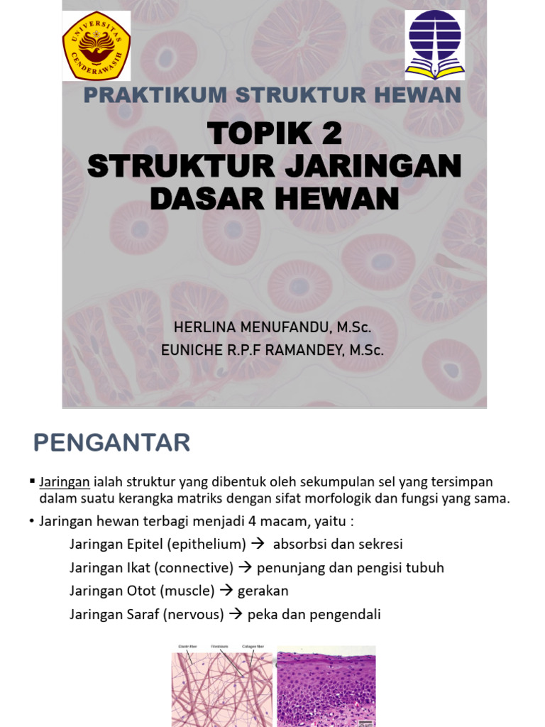 Topik Ii | PDF